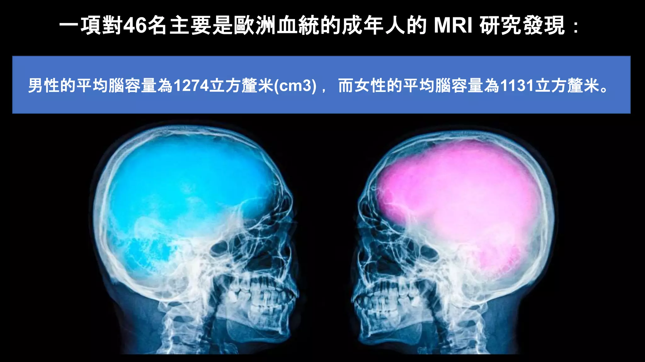 Brain Size Series 05 - Does Brain Size Matter？.pptx