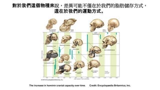 Brain Size Series 06 - How Humans Evolved Large Brains.pptx