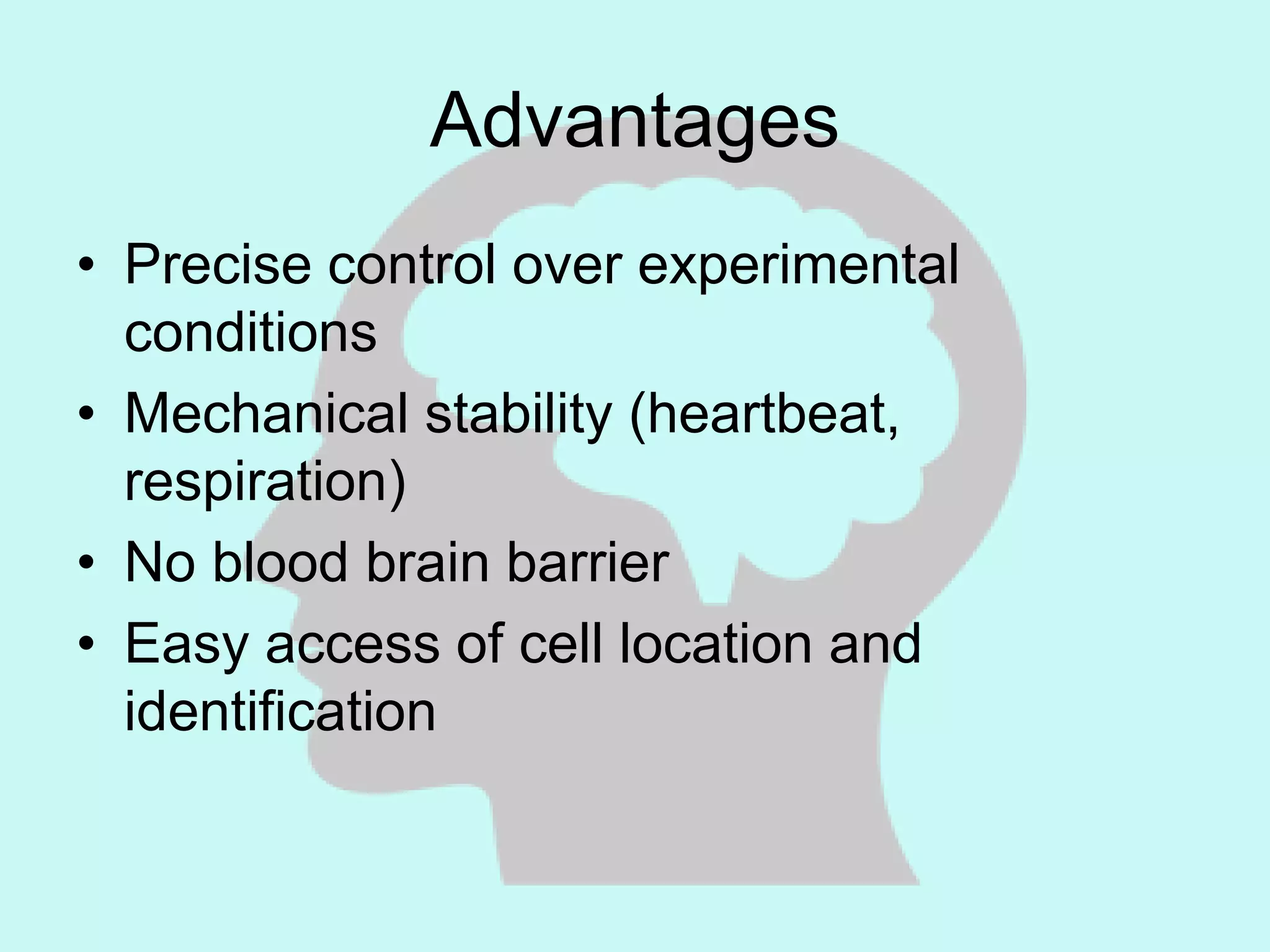 Brain slicing | PPT
