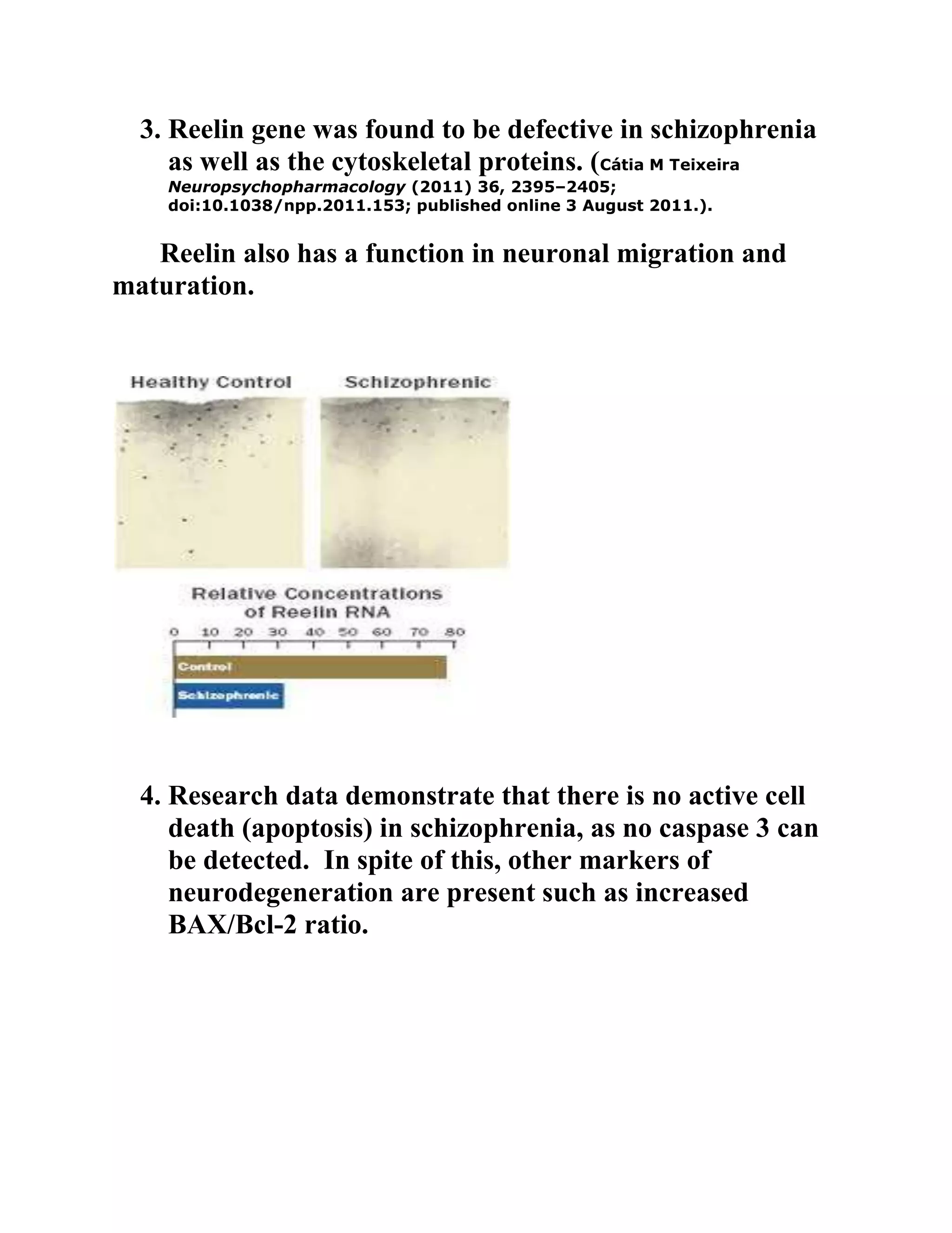 Brain's molecular velcro | DOCX | Brain and Nervous System Disorders ...