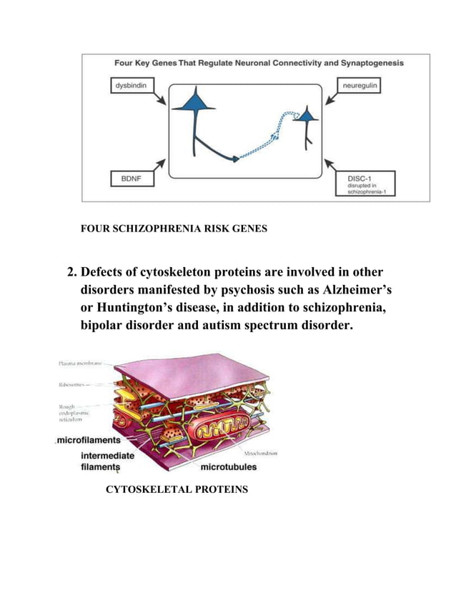 Brain's molecular velcro | DOCX | Brain and Nervous System Disorders ...