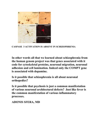 Brain's molecular velcro | DOCX | Brain and Nervous System Disorders ...