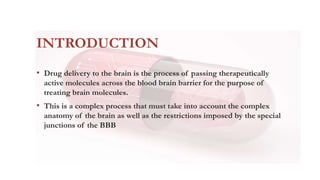 Brain specific Drug Delivery System | PPTX