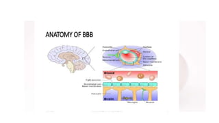Brain specific Drug Delivery System | PPTX