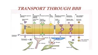 Brain specific Drug Delivery System | PPTX