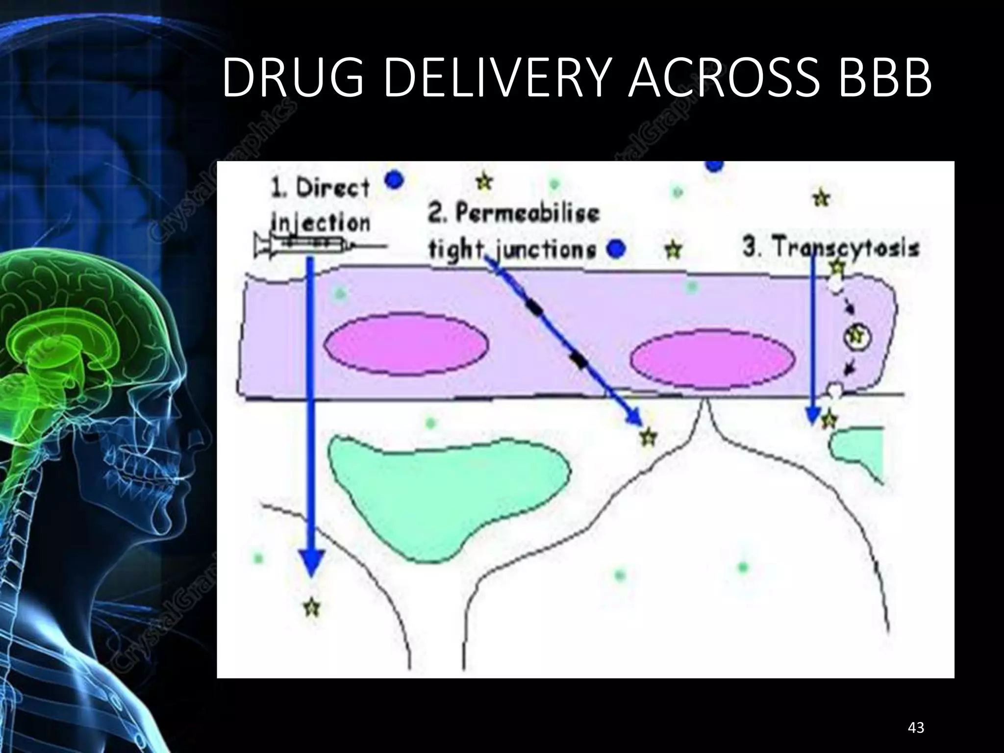 Brain specific delivery | PPTX