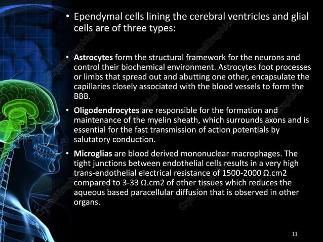 Brain specific delivery | PPTX | Brain and Nervous System Disorders ...