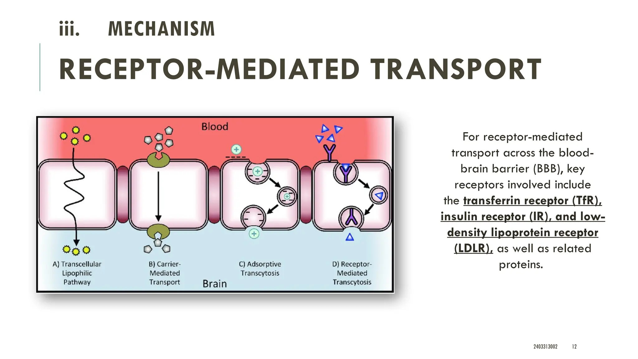 Brain Specific Delivery, Blood Brain Barrier | PPTX