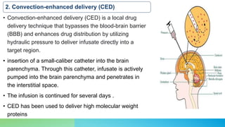 BRAIN SPECIFIC DELIVERY 1.pptx | Brain and Nervous System Disorders | Diseases and Conditions
