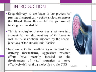 Brain Specific drug delivery | PPTX
