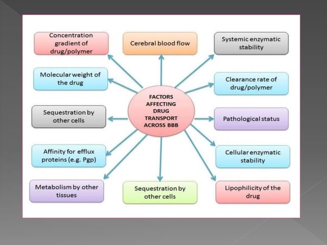 Brain specific drug delivery.pptx -Mpharm | PPTX