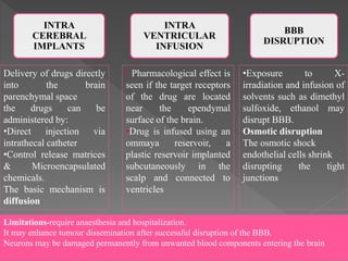 Brain specific drug delivery.pptx -Mpharm | PPTX