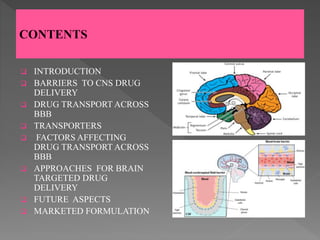 Brain specific drug delivery.pptx -Mpharm | PPTX