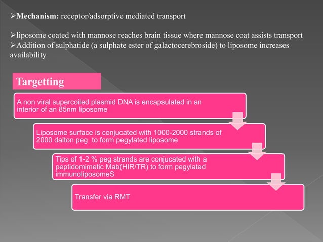 Brain specific drug delivery.pptx -Mpharm | PPTX