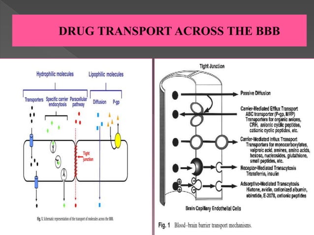 Brain specific drug delivery.pptx -Mpharm | PPTX