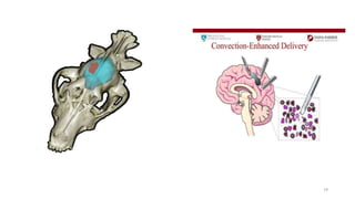 Brain specific drug deliverys | PPTX