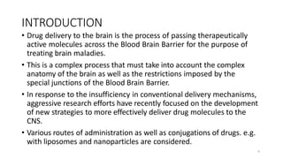 Brain specific drug deliverys | PPTX