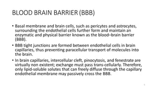 Brain specific drug deliverys | PPTX