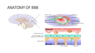 Brain specific drug deliverys | PPTX