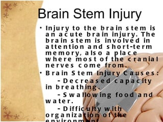 Brain stem | PPT