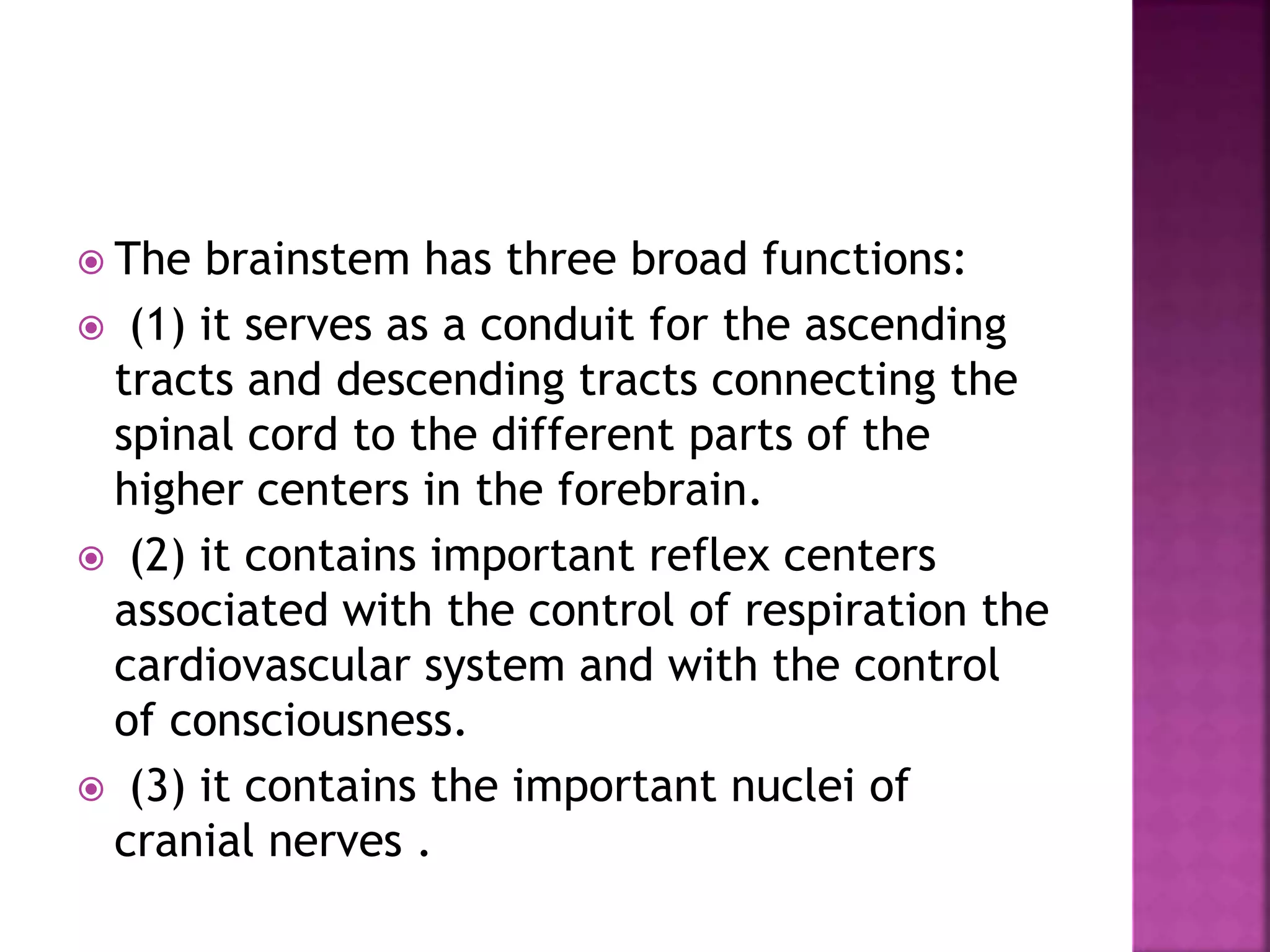Brain stem | PPTX