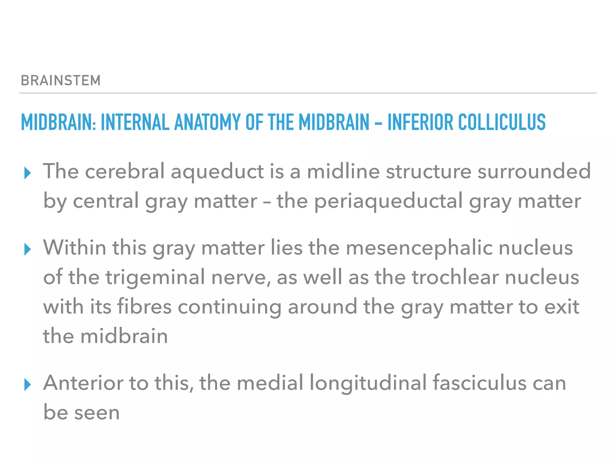 Brainstem | PDF