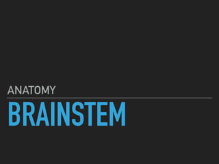 Brainstem | PPT