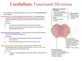 Anatomy & functions of the Brainstem & Cerebellum | PPTX