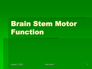 Brain Stem.ppt