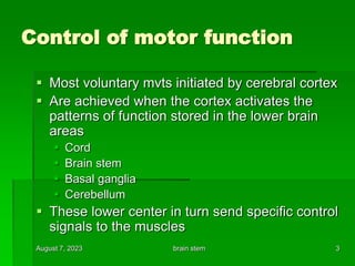 Brain Stem.ppt