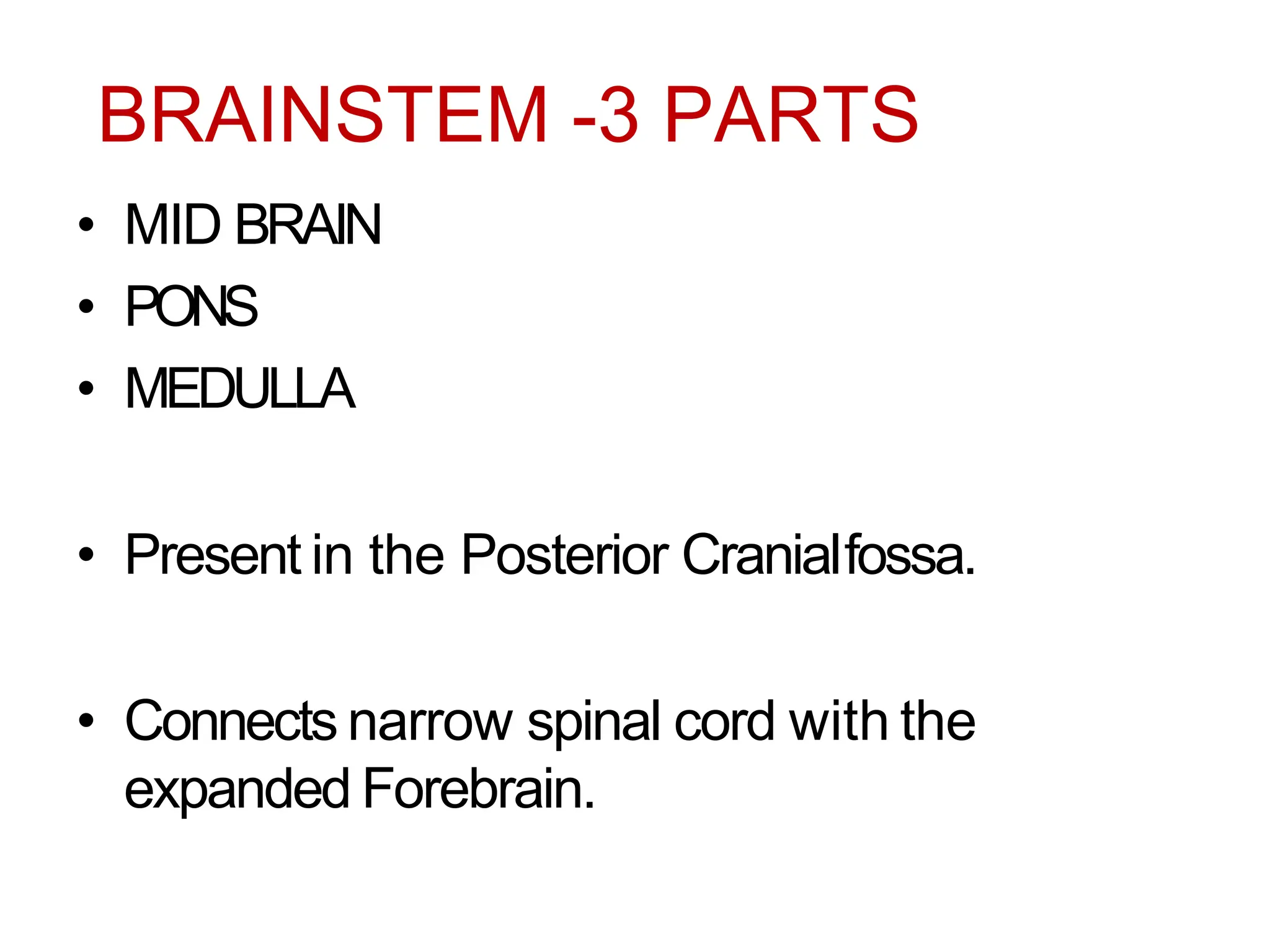 Anatomy of brain steam midbrain pons and medulla | PPTX