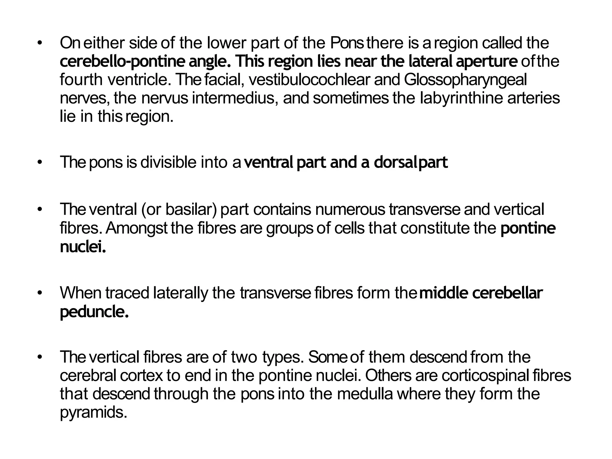 Anatomy of brain steam midbrain pons and medulla | PPTX