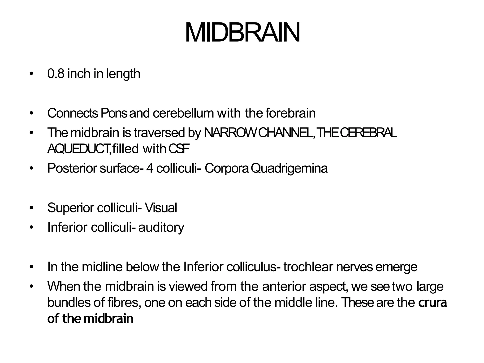 Anatomy of brain steam midbrain pons and medulla | PPTX