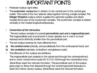 Anatomy of brain steam midbrain pons and medulla | PPTX