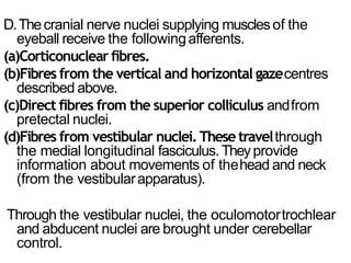 Anatomy of brain steam midbrain pons and medulla | PPTX
