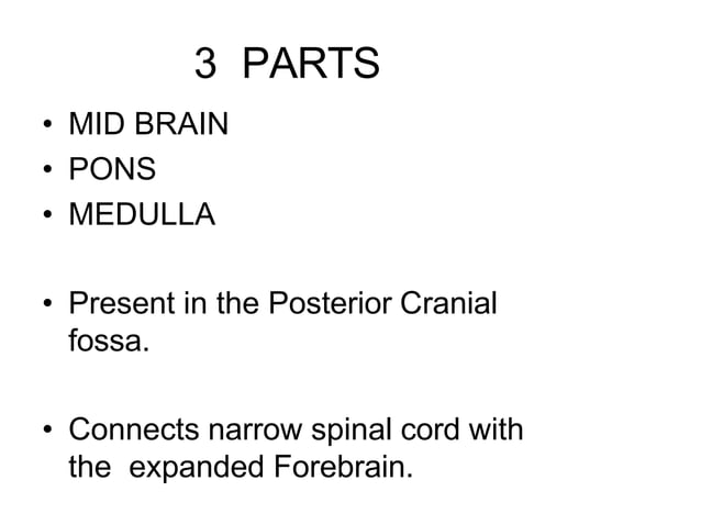 BRAINSTEM-DETAILED.pptx | Brain and Nervous System Disorders | Diseases and Conditions