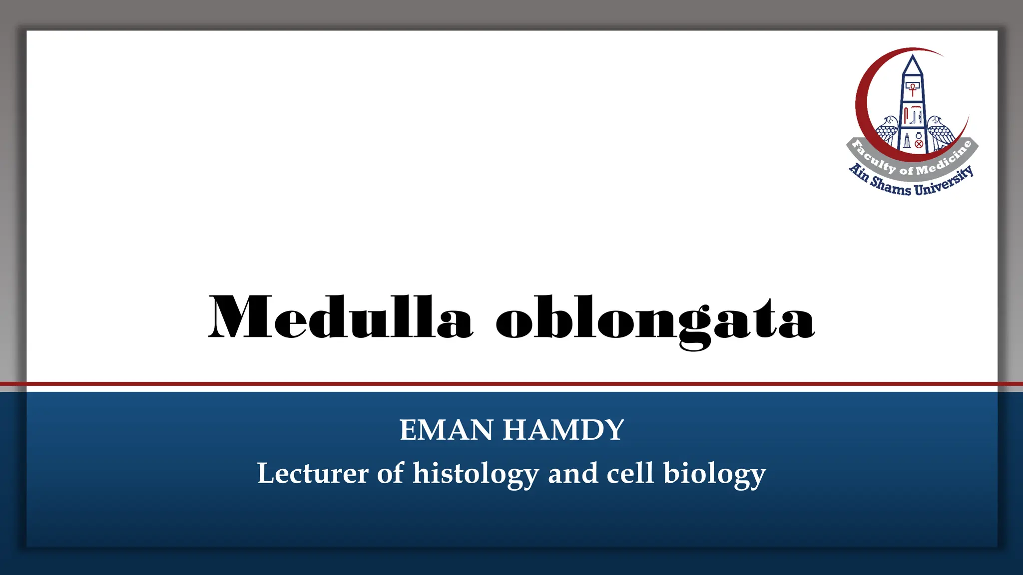 Brainstem - Medulla .pdf histology patha | PDF