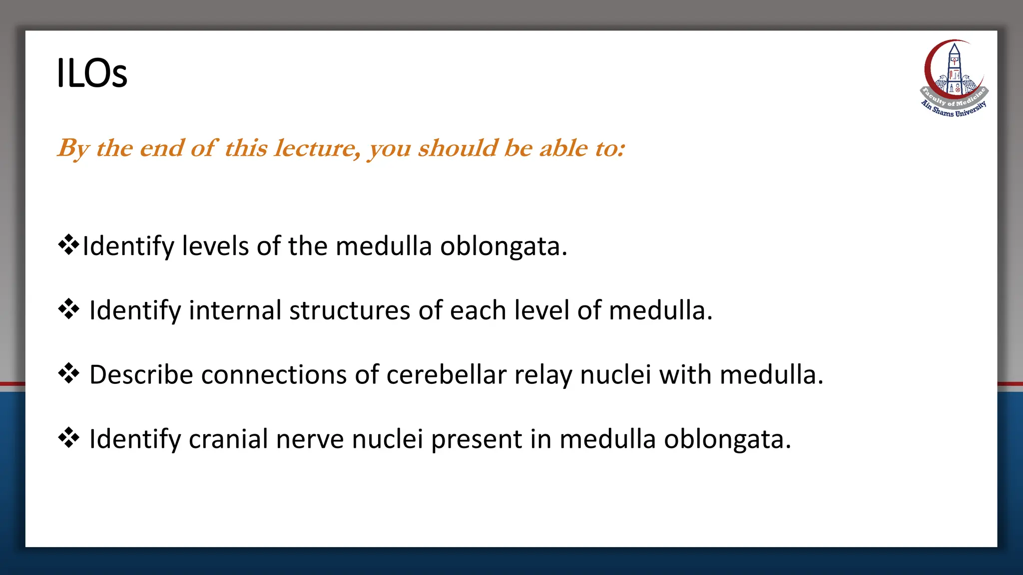 Brainstem - Medulla .pdf histology patha | PDF