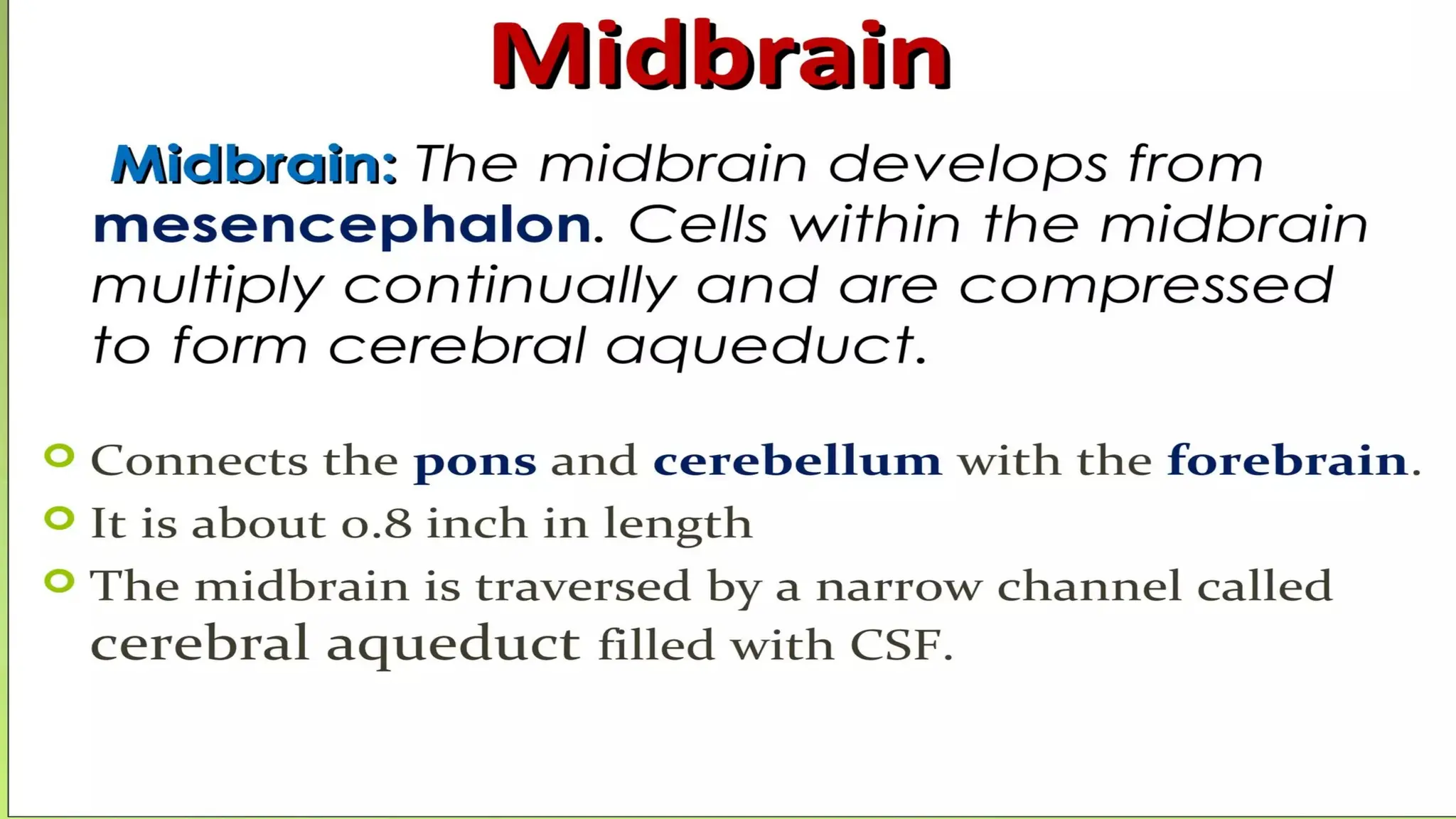 BRAINSTEM-SUMMARY WITH CLINICAL IMPORTANCE.pptx