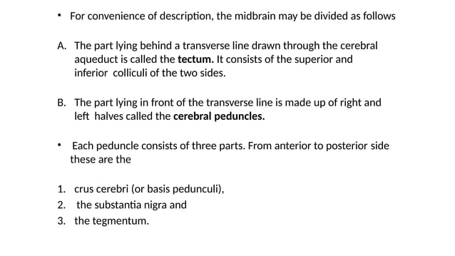 BRAINSTEM-SUMMARY WITH CLINICAL IMPORTANCE.pptx