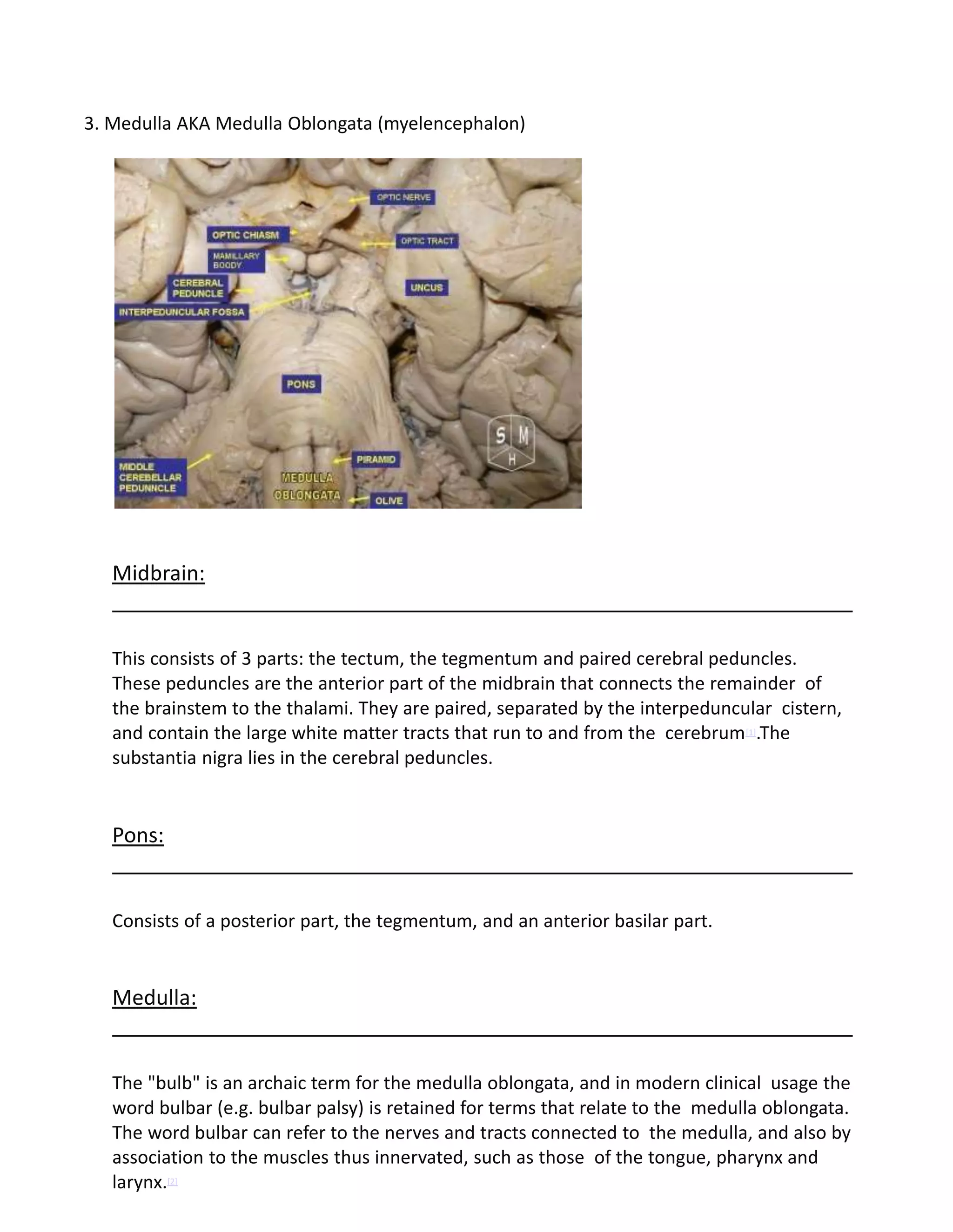 Anatomy of Brainstem | PPT