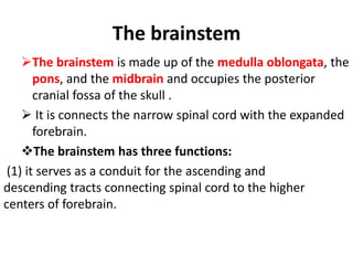 Brain Stem,1.........................pdf