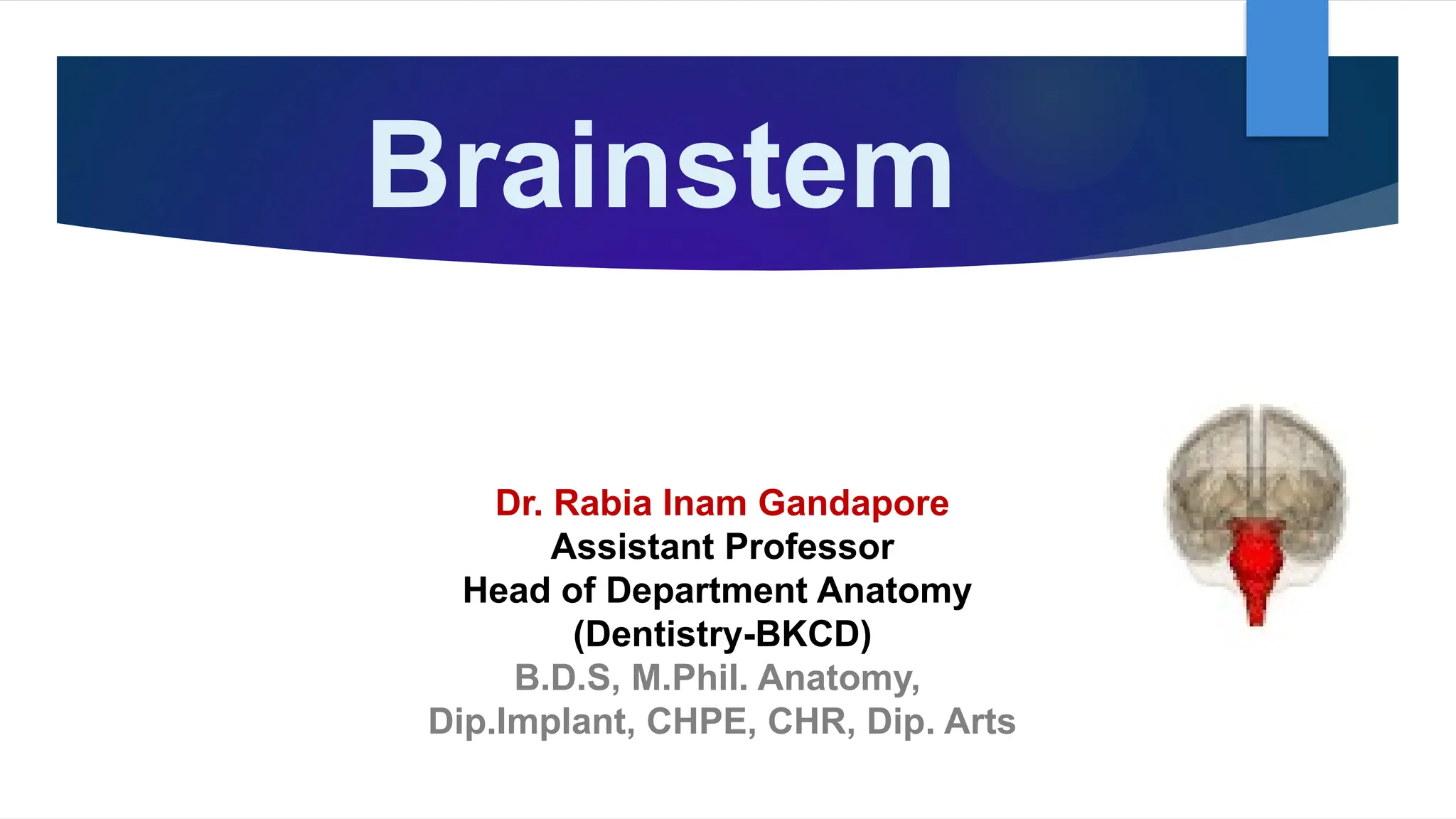 Brainstem by Dr. Rabia Inam Gandapore.pptx