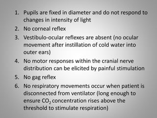 Brain stem death | PPTX
