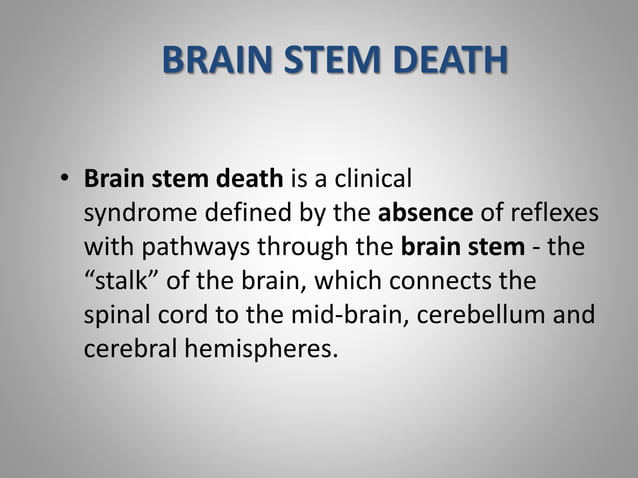 Brain stem death | PPTX