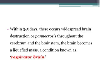 Brainstem death | PPTX