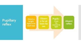 Brainstem death | PPTX