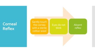 Brainstem death | PPTX