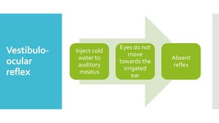 Brainstem death | PPTX