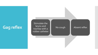 Brainstem death | PPTX